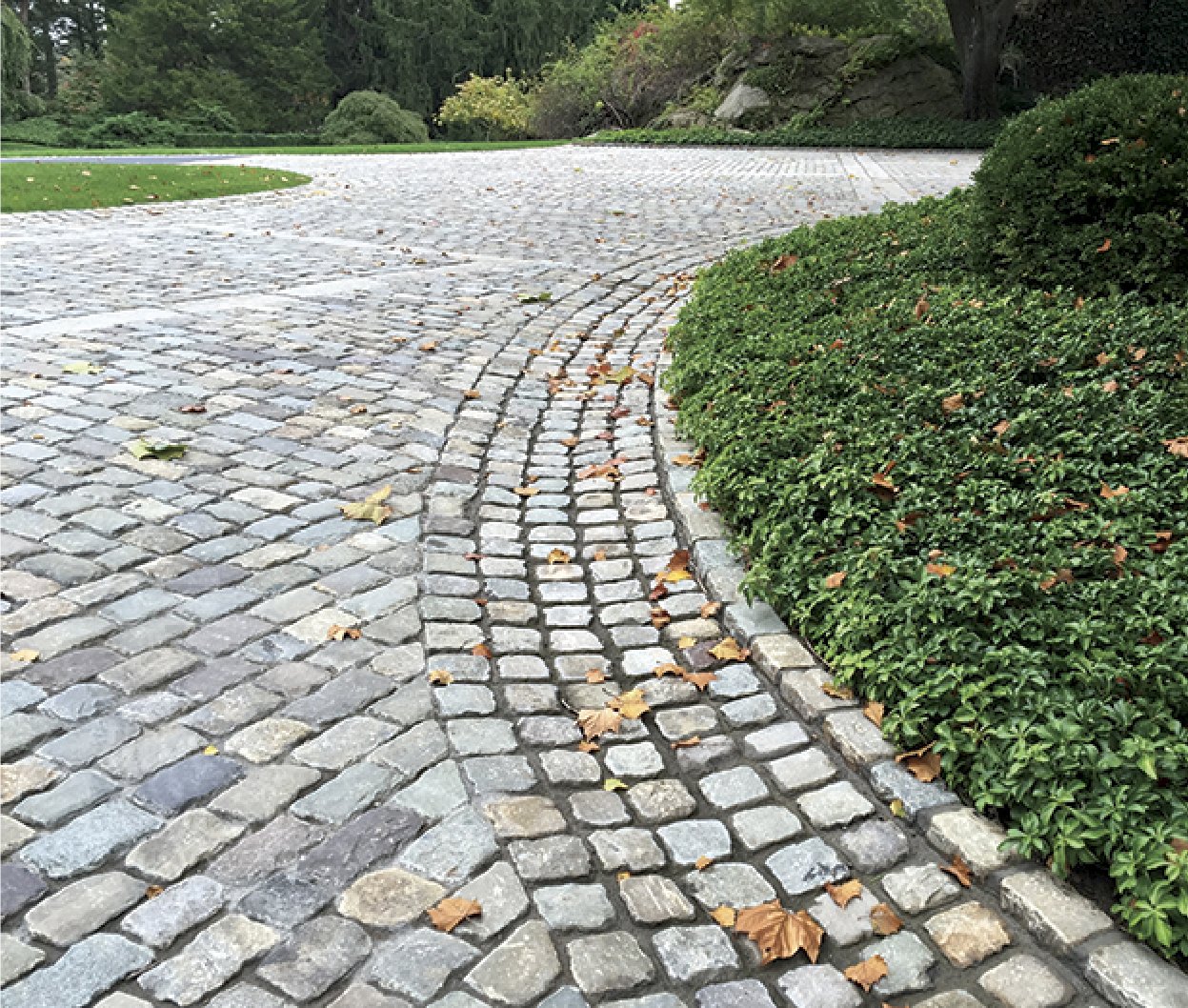 Cobblestones- Stone Curators