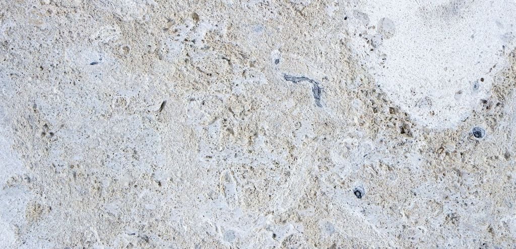 Limestone - Golden Coral Stone | Stone Curators