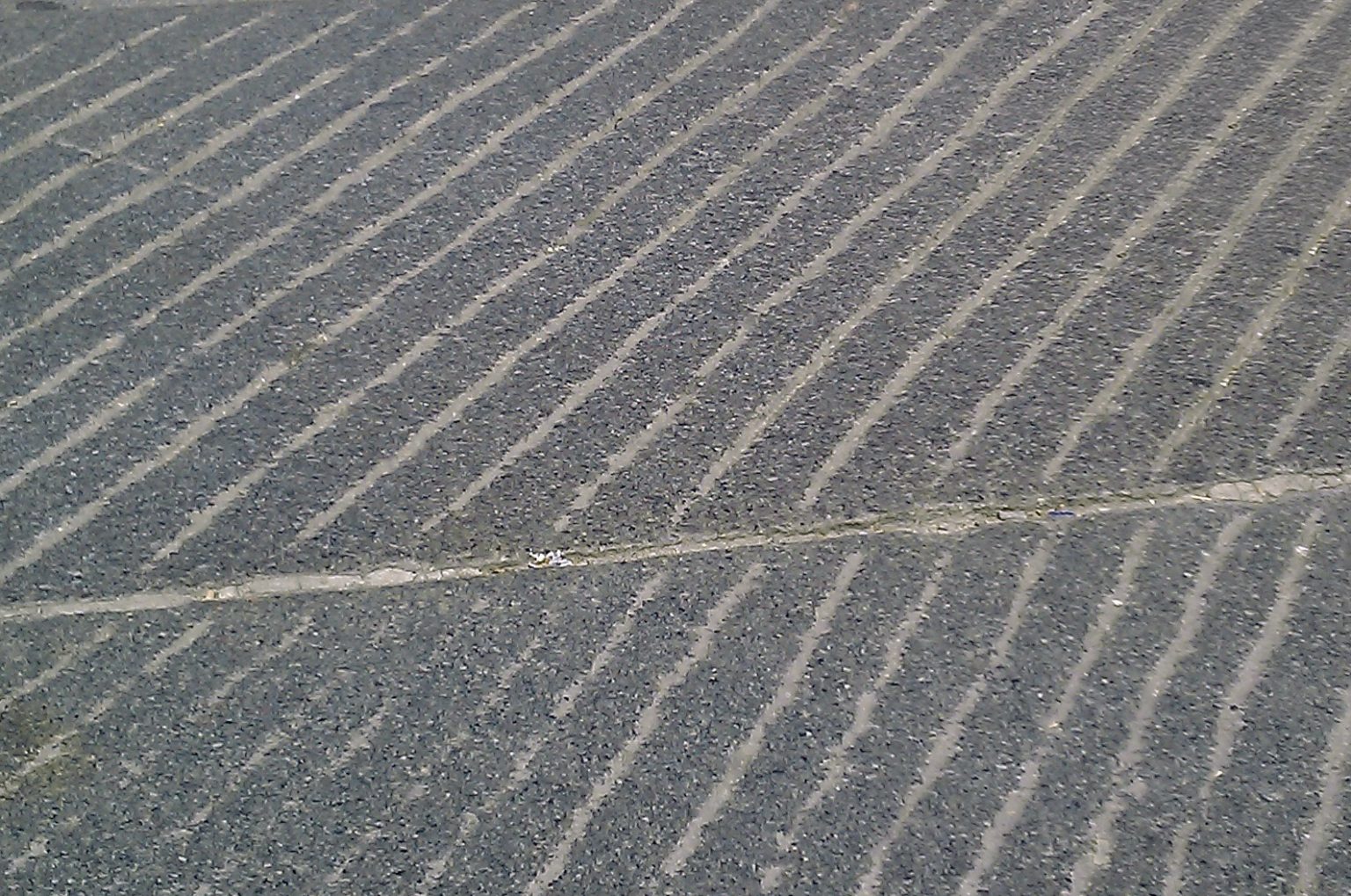 Surface Profile | Stone Curators