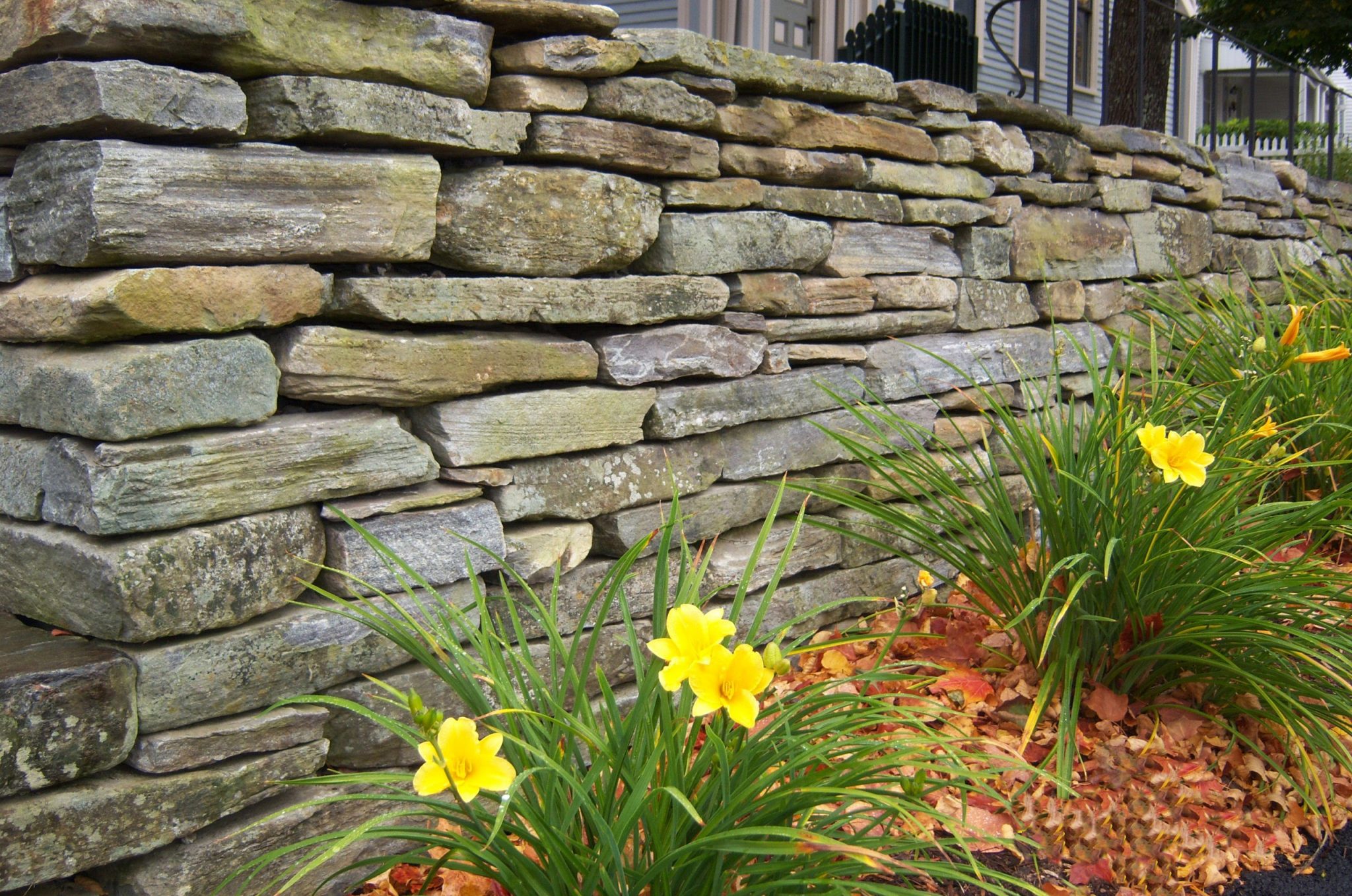 Surface Profile | Stone Curators