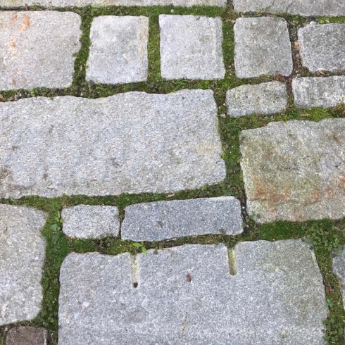 Cobblestone: Reclaimed & Newly Fabricated | Stone Curators